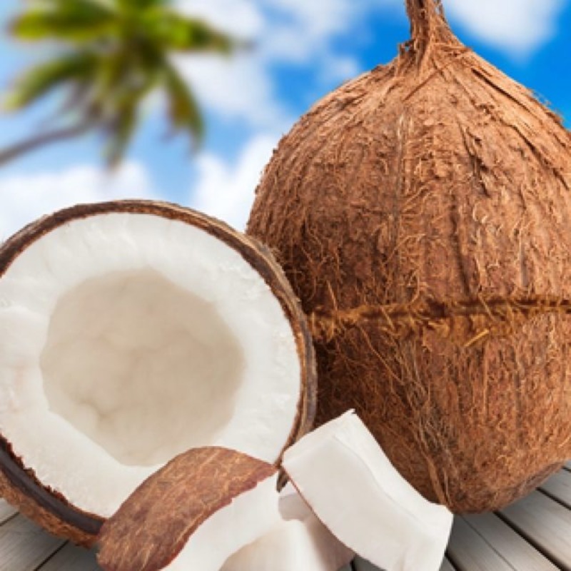 The Run of the Coconuts Free Sheet Music by COCONUTRILLION for Small ...