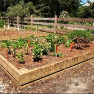 GROW A GARDEN Free Sheet Music by BADDIES FORLIFE for Choral | Noteflight