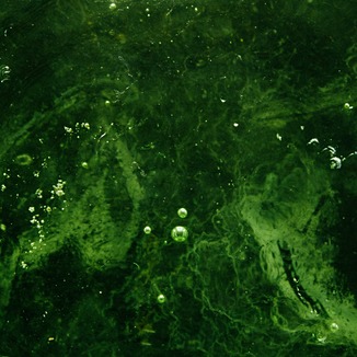 No One Mourns The Wicked Free Sheet Music by Stephen Schwartz for Small ...